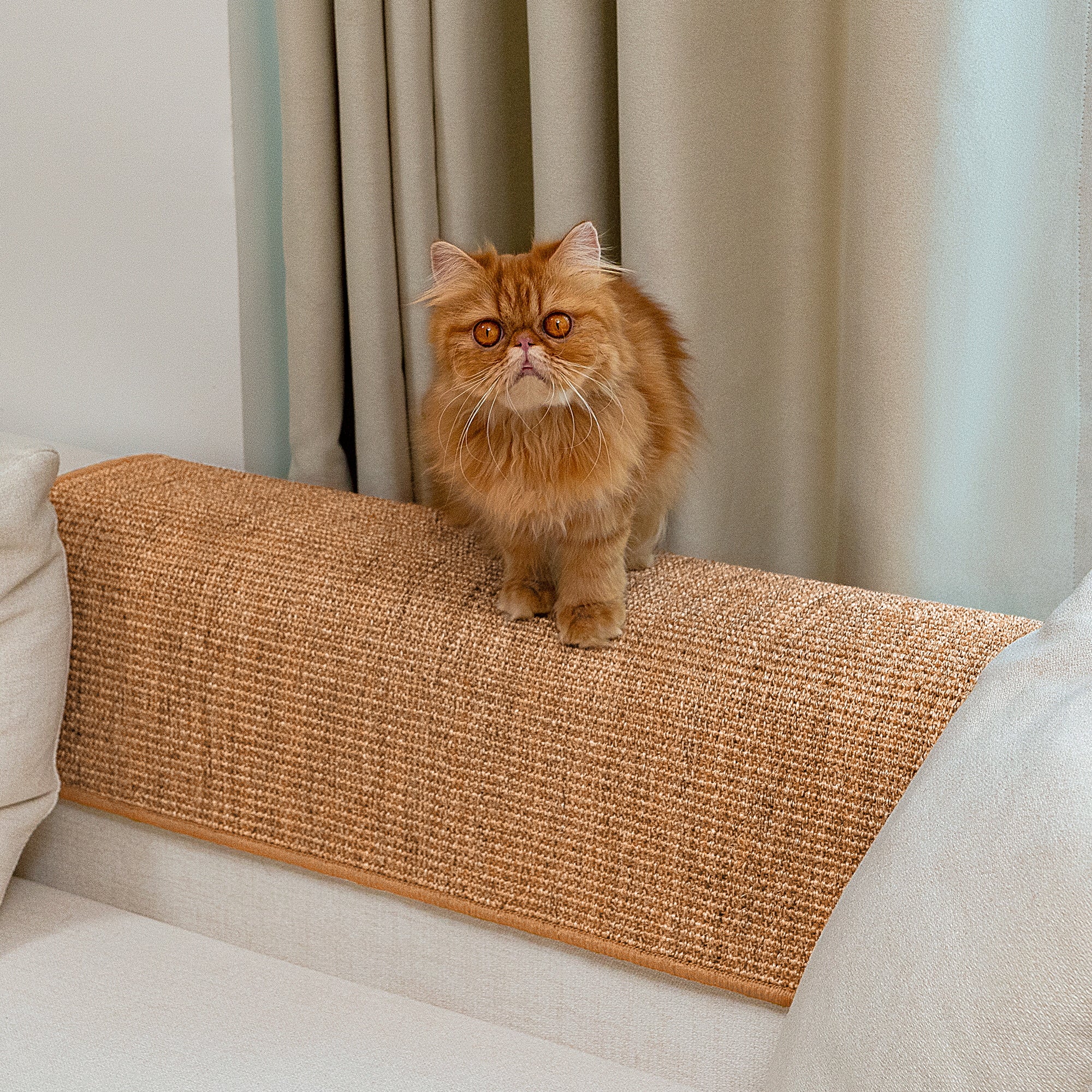 What Are the Benefits of Using a Natural Sisal Cat Scratch Pad for Your ...