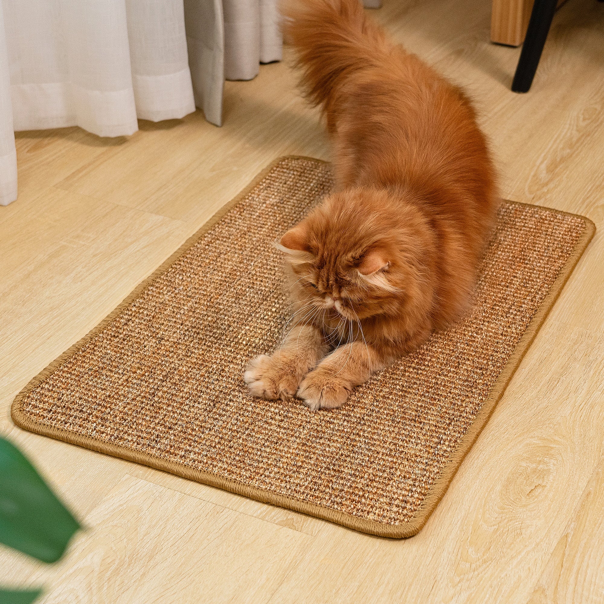 How Do You Train a Cat to Use a Natural Sisal Cat Scratch Pad? – conlunpet